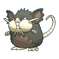 Alolan Raticate - Limitless VGC