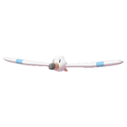Wingull - Limitless VGC